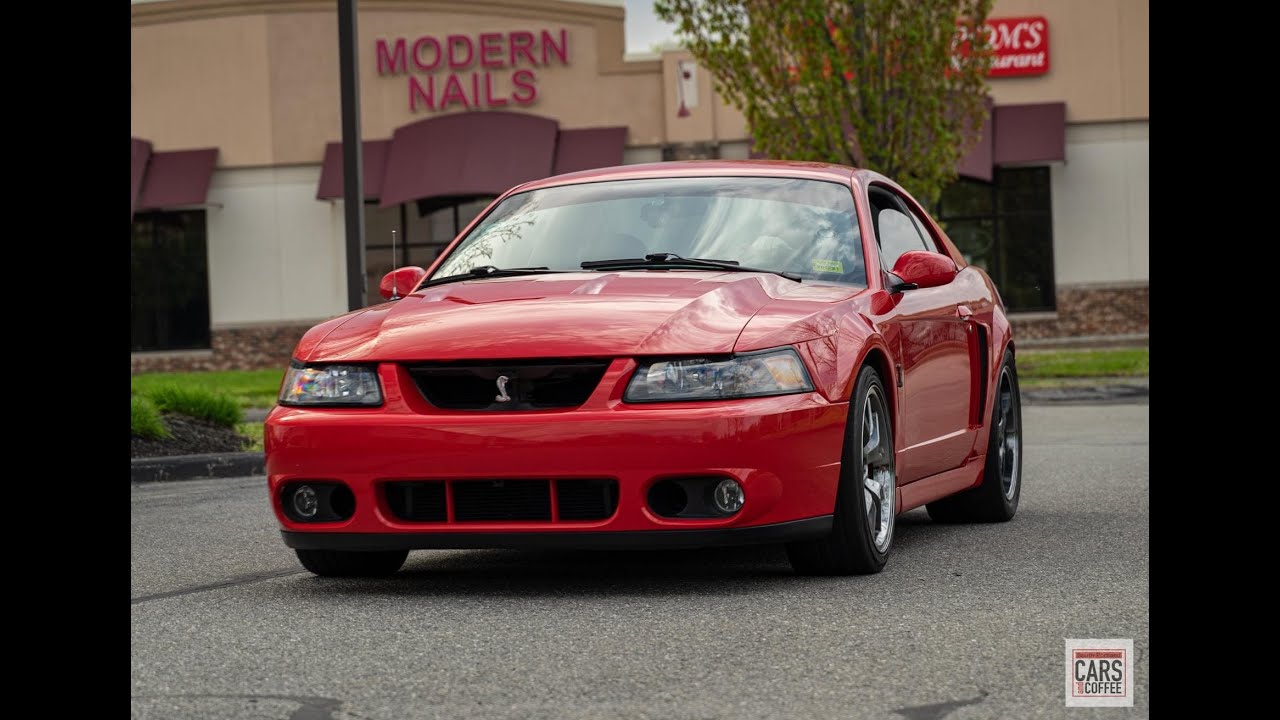 04 TERMINATOR COBRA 1 YEAR REVIEW - YouTube