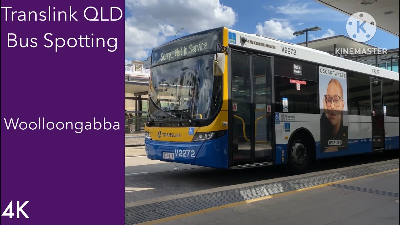 Translink QLD Bus Spotting - Woolloongabba - YouTube