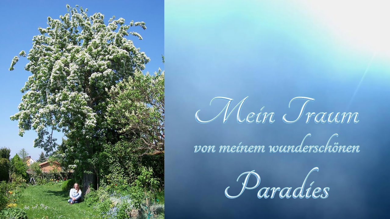 Mein Traum von meinem wunderschönen Paradies - YouTube