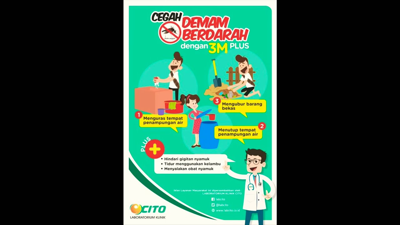 Pencegahan DBD / Demam Berdarah - IPS / penjas orkes - Bahasa Indonesia ...