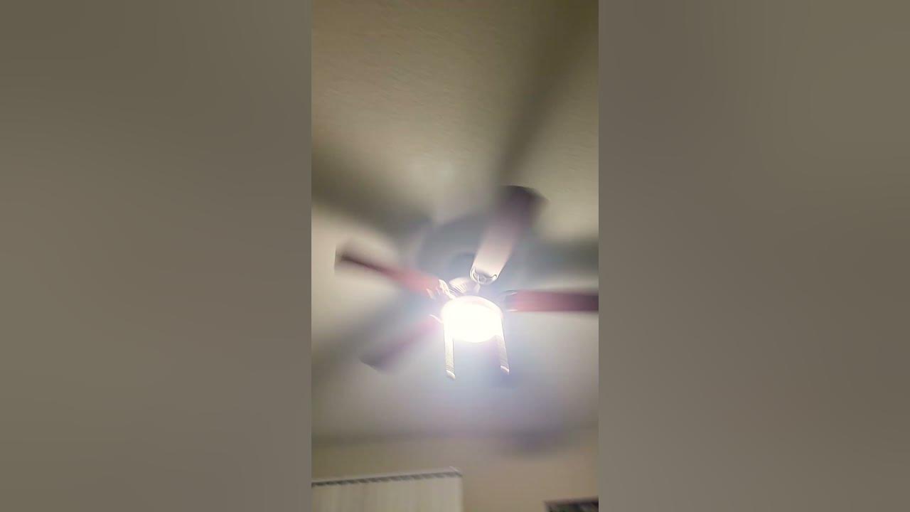 My first loop video how did i do#funny #loop #satisfyingloop #endlessloop #perfectloop - YouTube