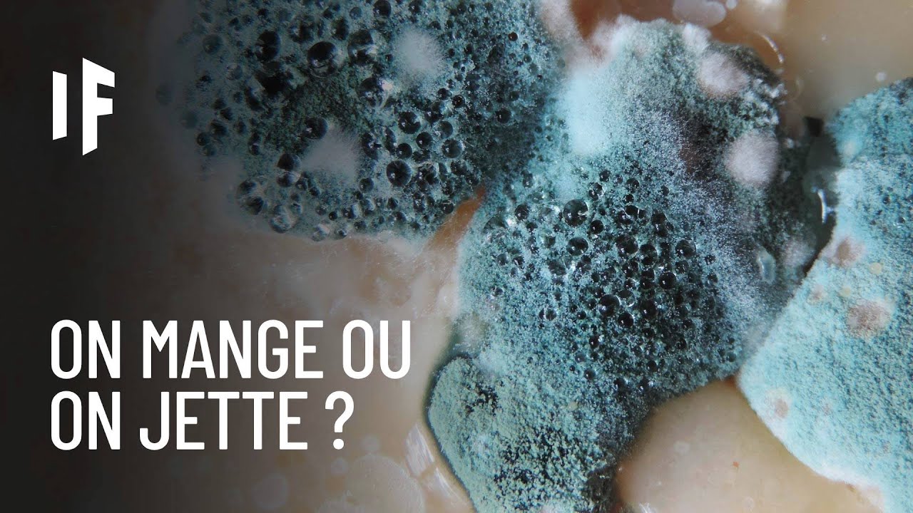 Que se passe-t-il quand vous mangez de la moisissure ? - YouTube