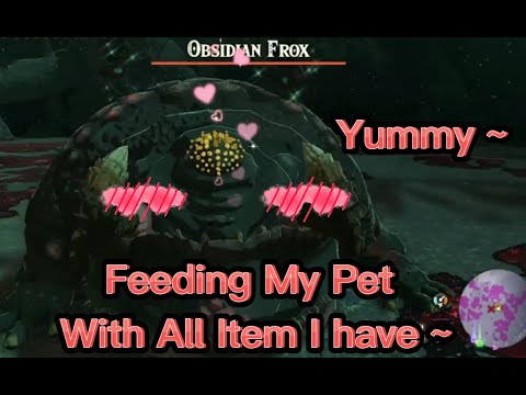 Feeding My Obsidian Frox Pet With All Item i Have (The Legend of Zelda: Tears of the Kingdom)