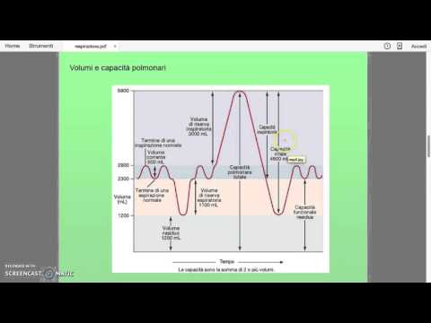 Volumi polmonari - YouTube