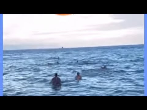 Kutty, ShadG, P, Joe, & The Gang Enjoy Themselves @The Beach 🏖 In Miami, Fl #bigo #bigolive