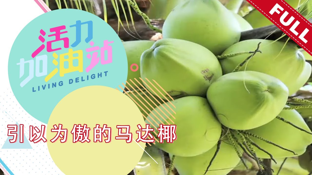 活力加油站 Living Delight (2022) | 2022年8月29日: 引以为傲的马达椰 - YouTube