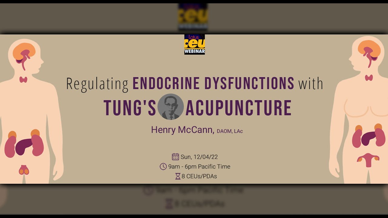 Regulating Endocrine Dysfunctions with Tung’s Acupuncture | Acupuncture ...