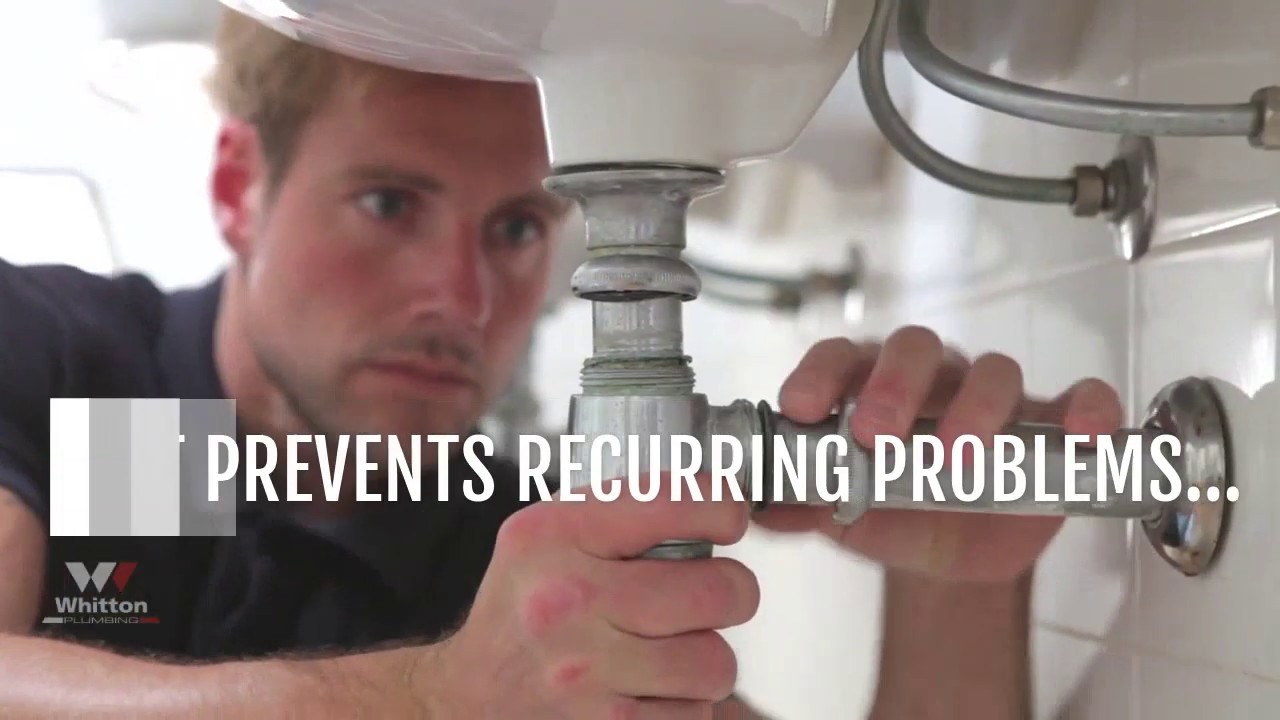 4 Reasons To Hire A Plumber In Mesa AZ | Whitton Plumbing in Mesa AZ ...