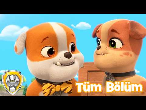 Ekip Süper Bir Küvet İnşa Ediyor (Tam Bölüm) | Rubble ve Ekibi | Çocuklar İçin Çizgi Filmler