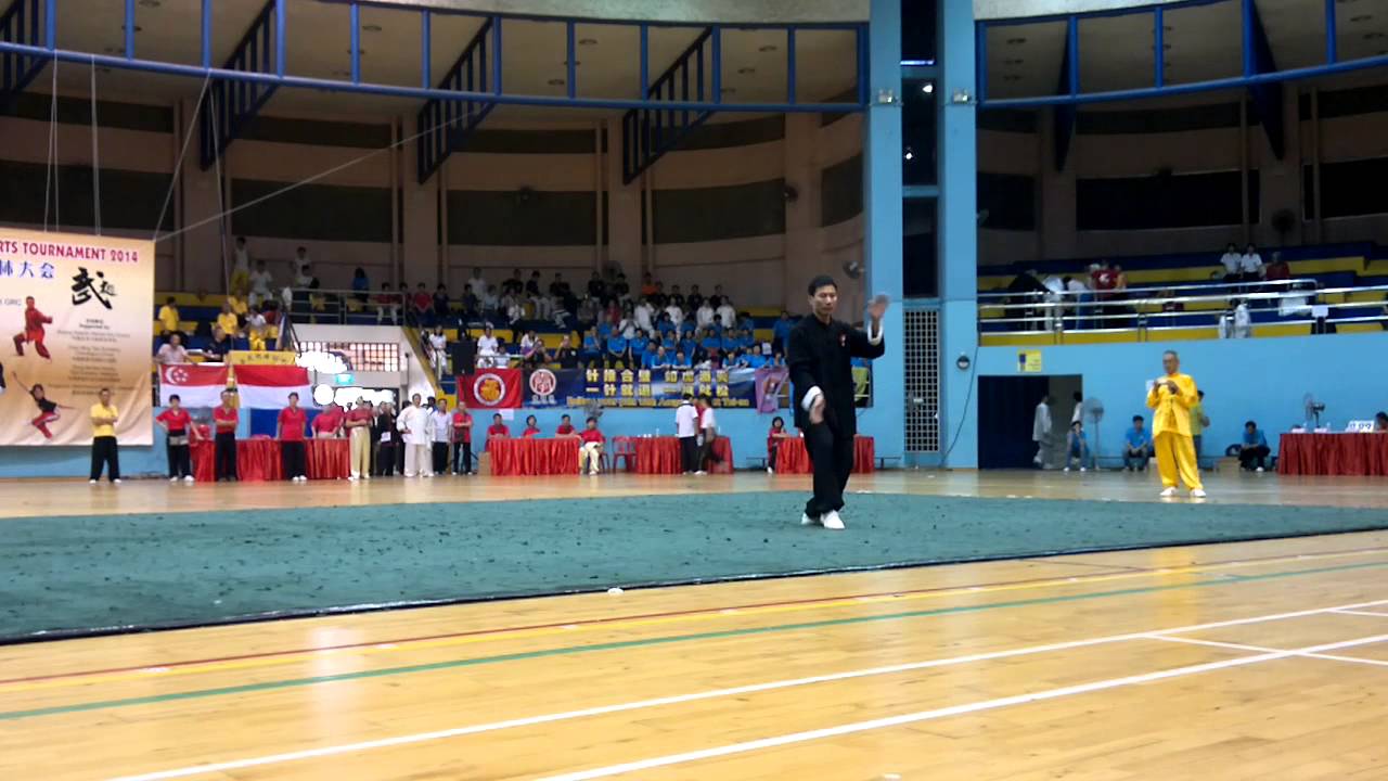 Master Chen Bing Chen Style Taijiquan (Chen Style Tai Chi Chuan) - YouTube