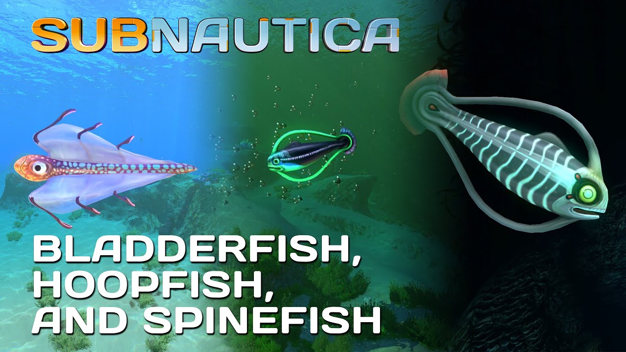 Subnautica: Bladderfish, Hoopfish, and Spinefish (Species Series) - YouTube
