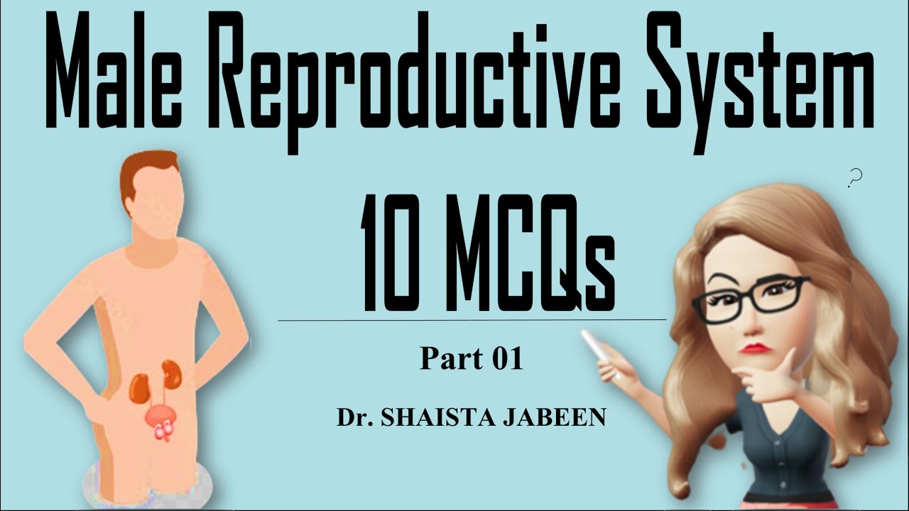 MCQs on Male Reproductive System I 10 MCQs for Practice with ...
