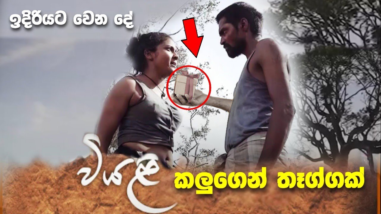 Viyali | වියළි | Episode 28 | කලූගෙන් තෑග්ගක් හැපින්නට - YouTube