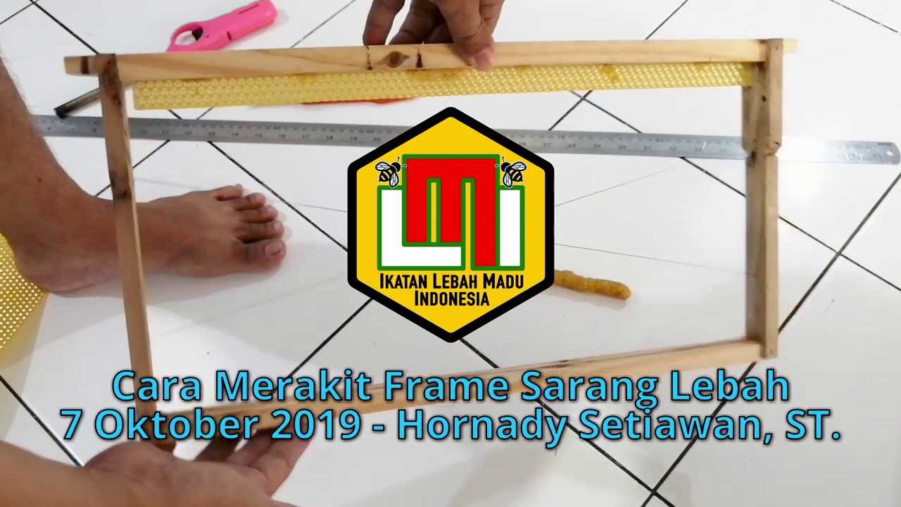 Rakit Frame Sarang Lebah (Frame Langstroth) - YouTube