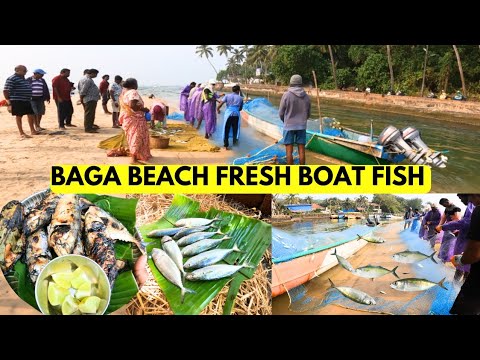 Fresh Fish from Baga Beach: Mackerel Fry Goan Style | Goan Vlog | Baga ...