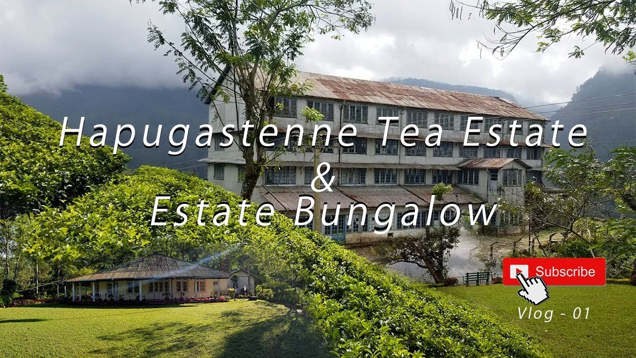Hapugastenne Estate | Old Tea Factory & Estate Bungalow | Vlog - 01 ...
