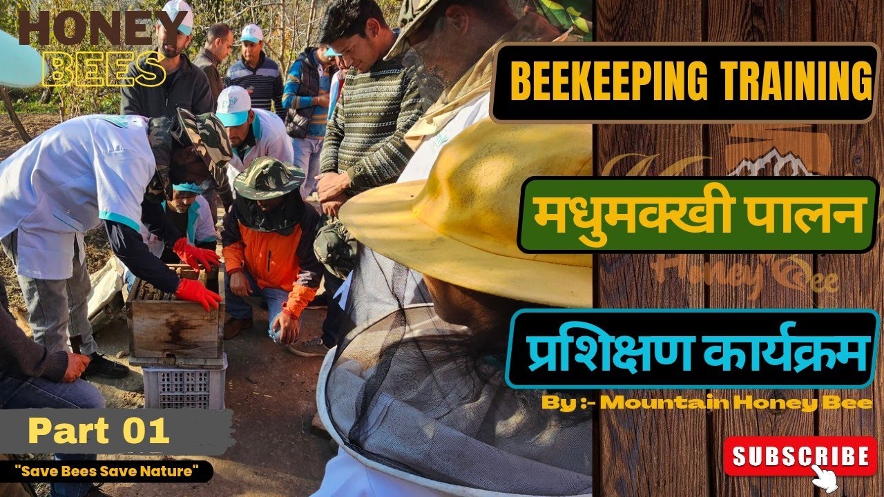 Beekeeping training programme | Madhumakhi palan prashikshan | MHB | part 01| Beekeeping - YouTube