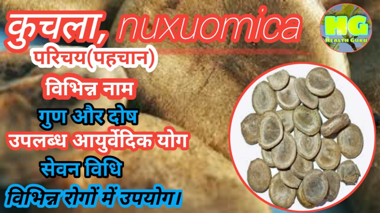 कुचला के फायदे, कुचला के नुकसान, कुचला की संपूर्ण जानकारी, कुचला शुद्ध ...