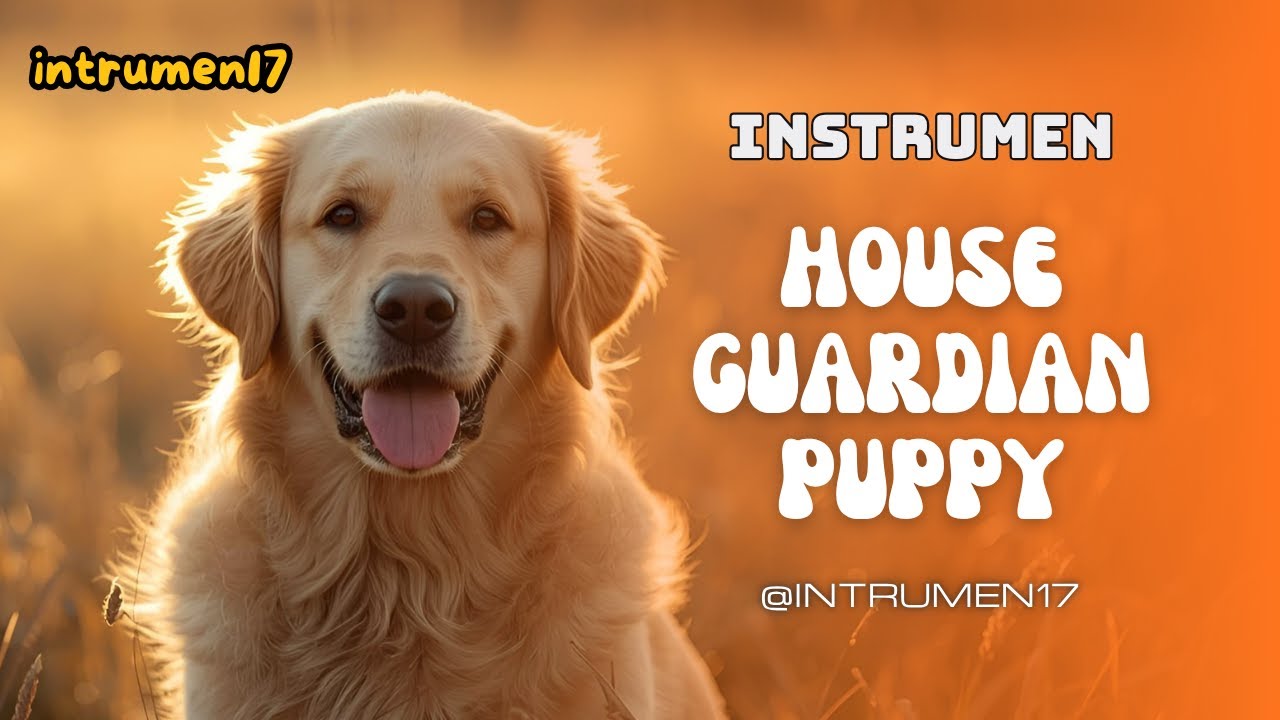 House Guardian Puppy – Instrumental Suara Anjing Penjaga Rumah ...