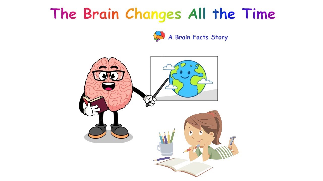 Grade 5 Brain Facts Story Video - YouTube