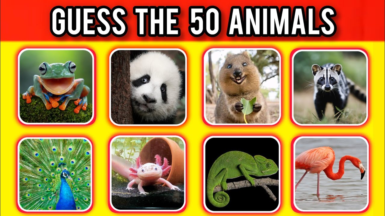Guess The 50 Animals | Guess The Animals Challenge | Guess The Animals ...