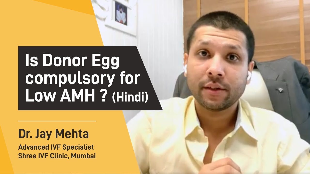 Low AMH Donor Eggs Is Donor Eggs Compulsory In Low low-amh-donor-eggs-is-donor-eggs-compulsory-in-low