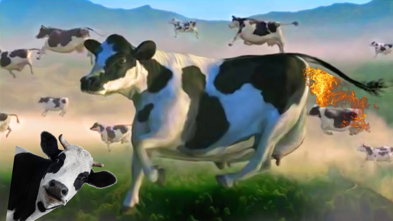 crazy cow dance happy cow dance 🐄🐄🐄🐄 - YouTube