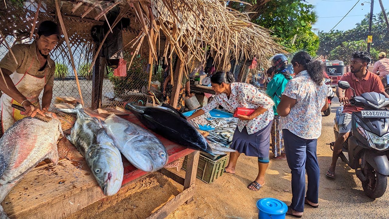 Traditional Fish Market in a Stunning Village | Fresh Fish Daily - YouTube