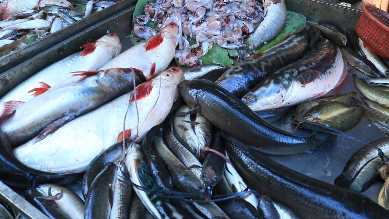 Local Traditional Market In Cambodia, Pork, Chicken, Fish, Vegetable ...