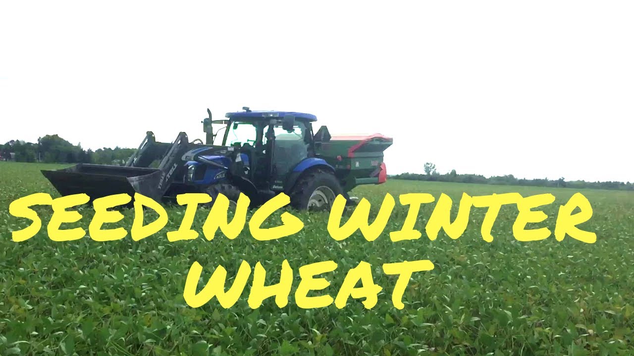 seeding cover crops fall 2018 - YouTube