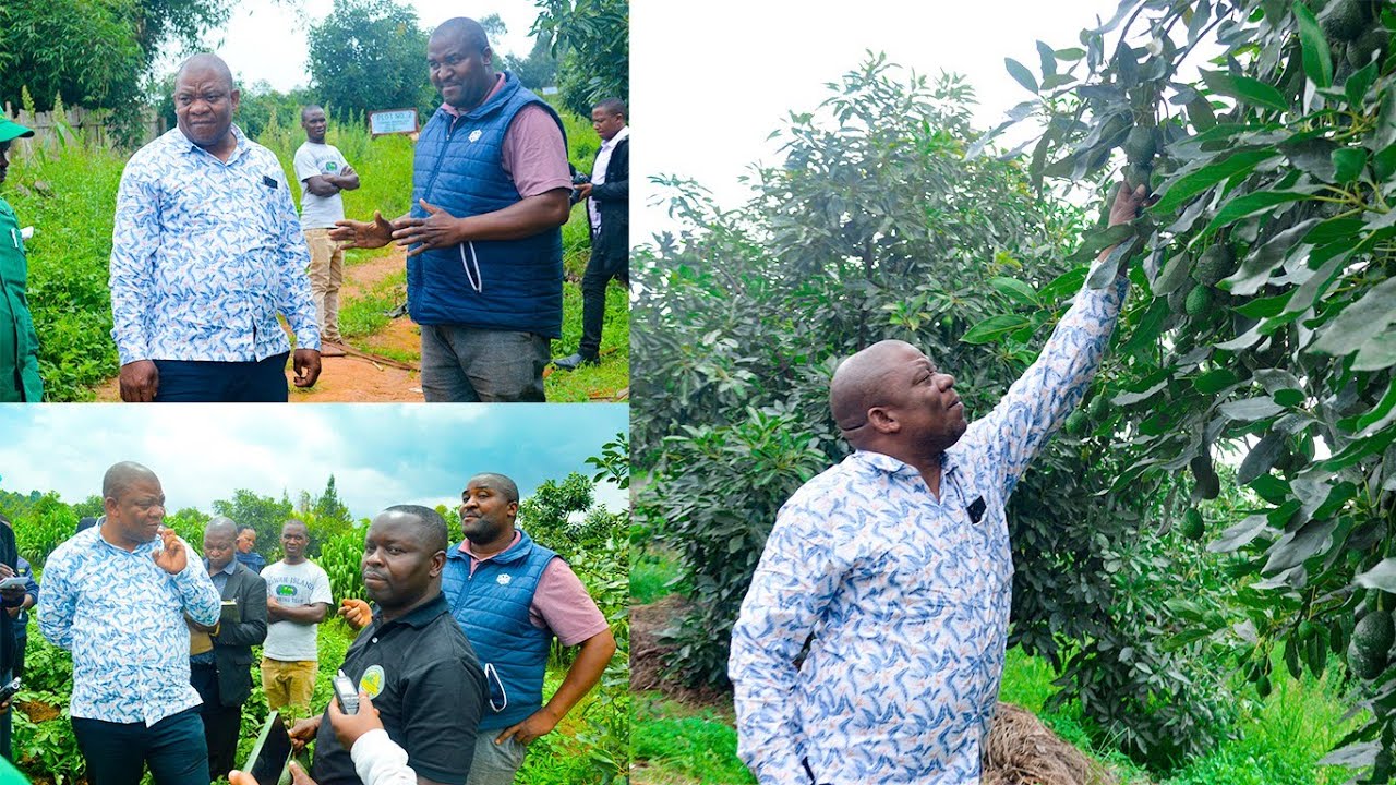 RC MTAKA AWATEMBELEA WAKULIMA WAKUBWA WA PARACHICHI NJOMBE/MADEBE/NEMES ...