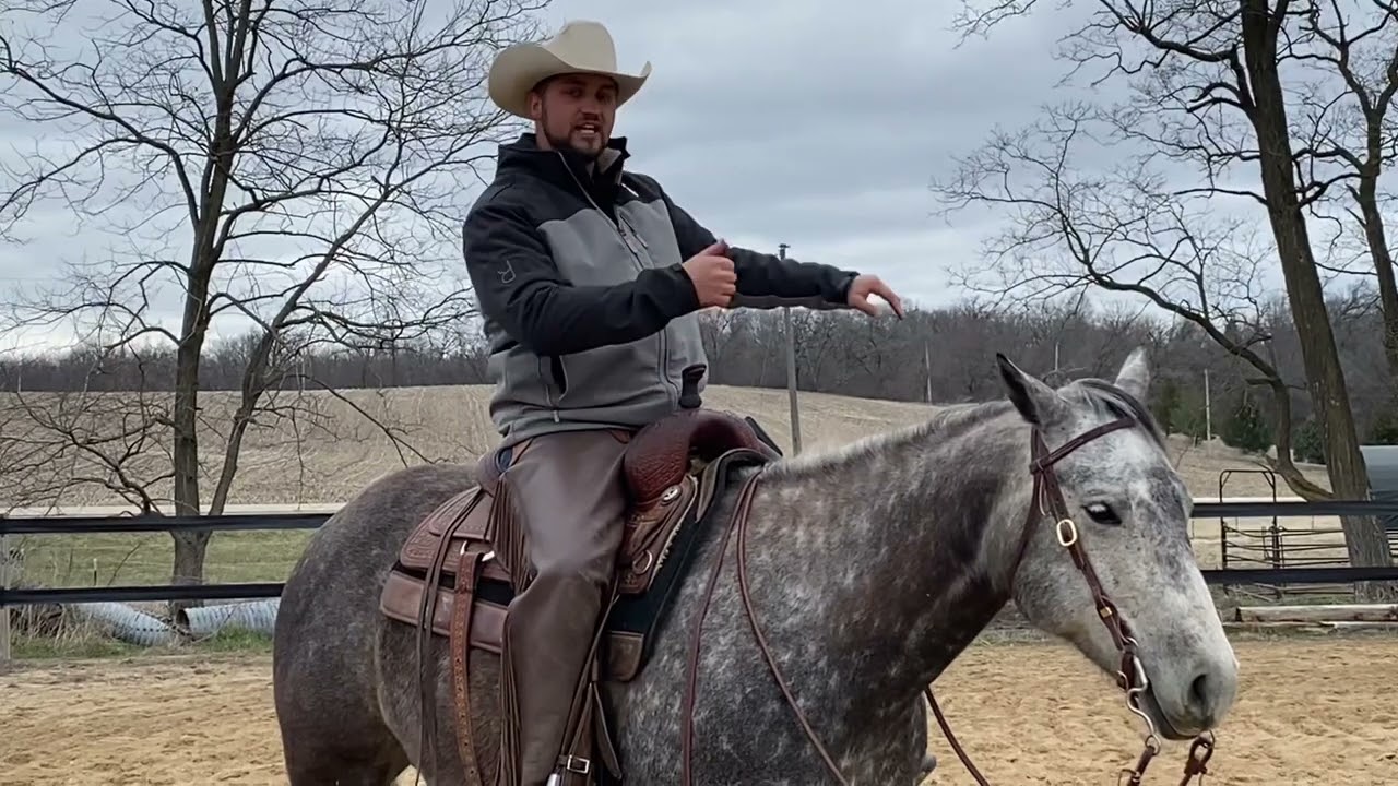 The Most Difficult Thing To Teach A Horse YouTube The Most Difficult Thing To Teach A Horse YouTube
