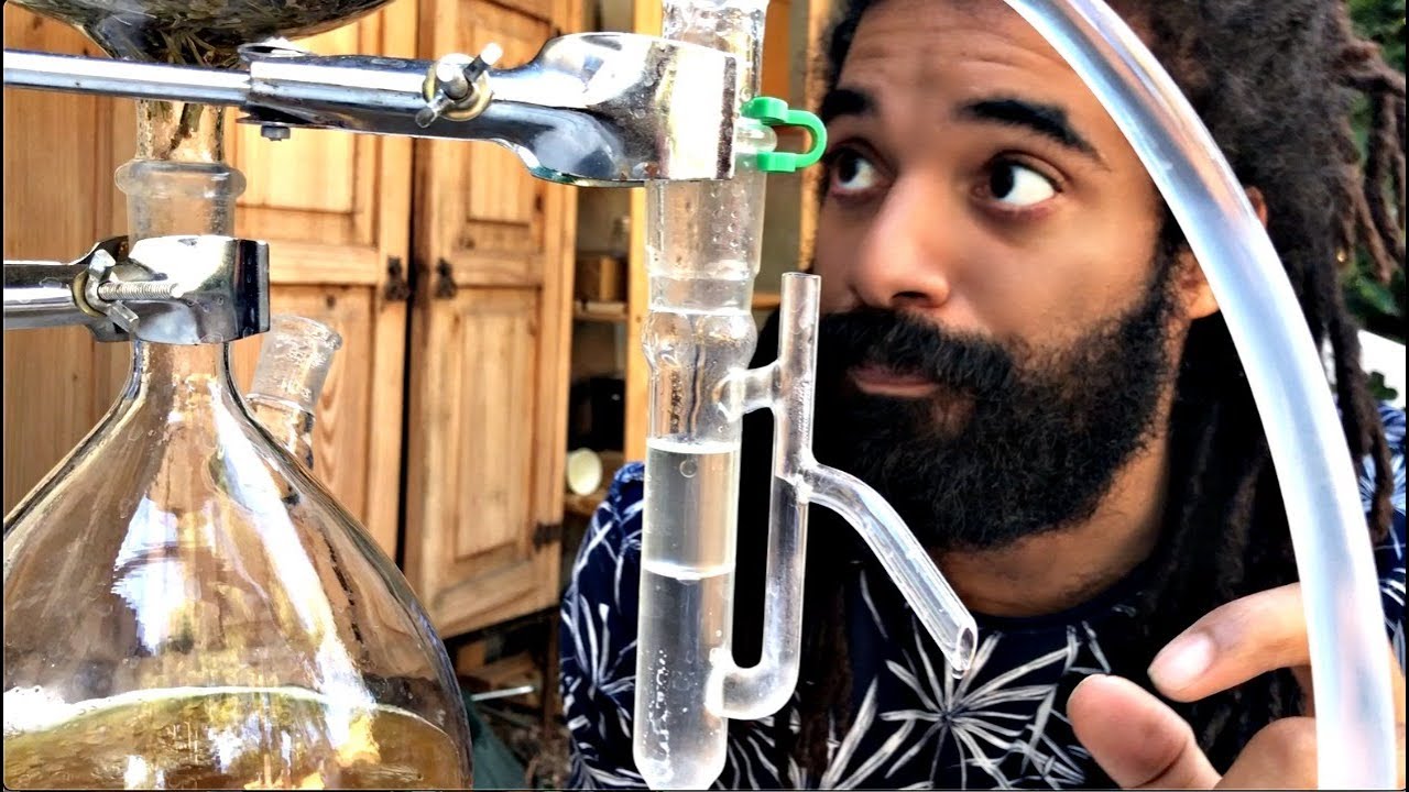 Rosemary Verbenone Harvest and Steam Distillation || Heart Magic ...