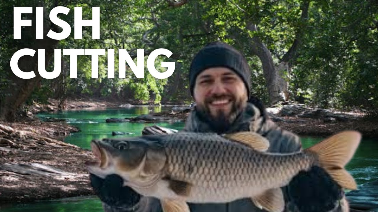 Amazing Fish Cutting Skills ( Expert) #fish #fishing # ...