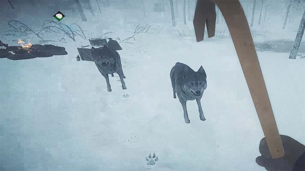 PARPANDEL VA INVATA SA BATETI CAINII🦊 - YouTube