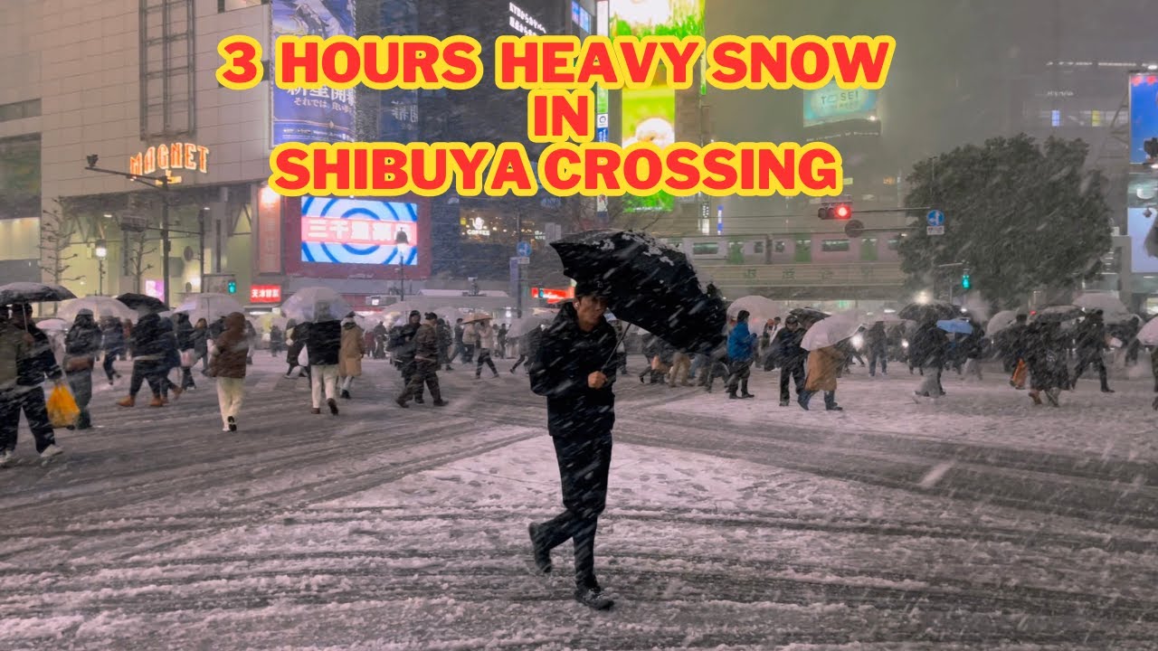 [4k hdr] 3 hours Heavy Snow Night in Shibuya Crossing (渋谷交差点) Tokyo ...