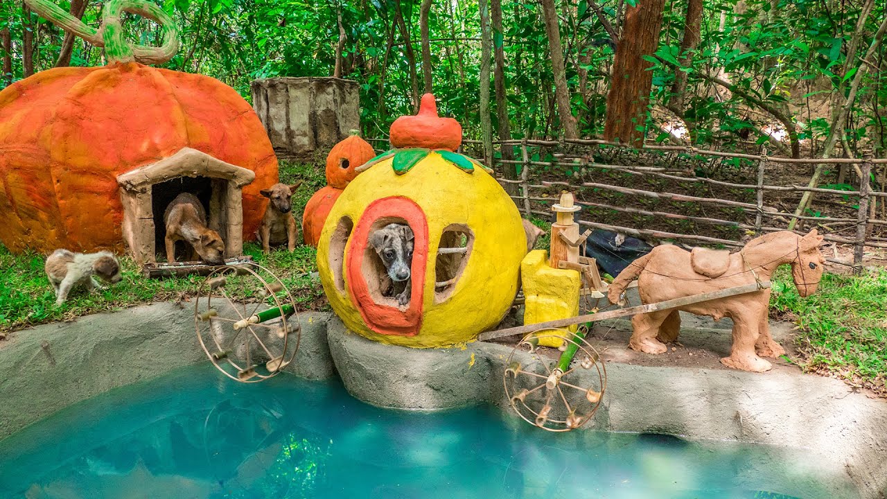 Puppies Rescued Building Mud Dog Carriage on Swimming Pool for Dog ...