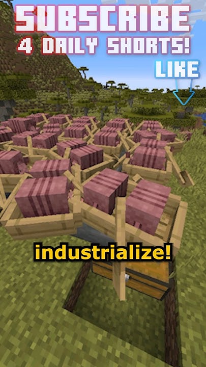 minecraft's easiest scute farm - YouTube