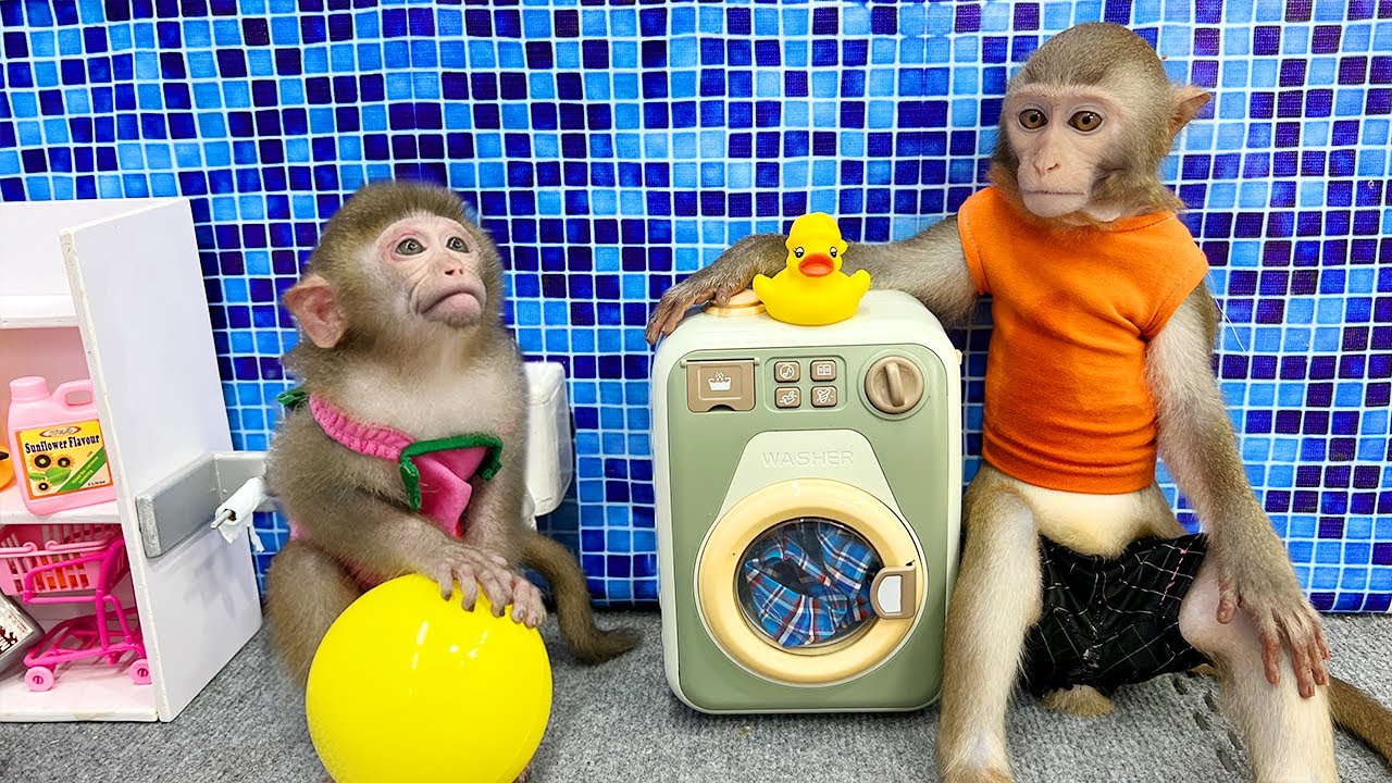 Bim Bim and Baby Monkey Obi obedient helps dad wash clothes - YouTube
