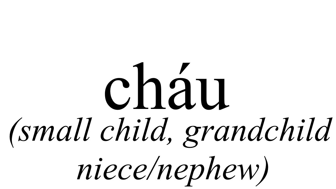 How to say "cháu" (small child/grandchild/niece/nephew) in Vietnamese ...