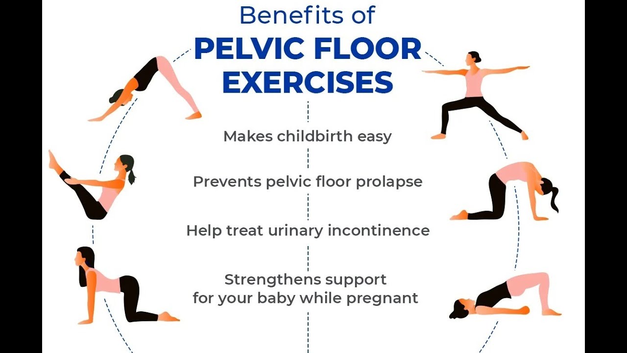 Pelvic floor exercises Or Kegel exercises help strengthen the muscles ...