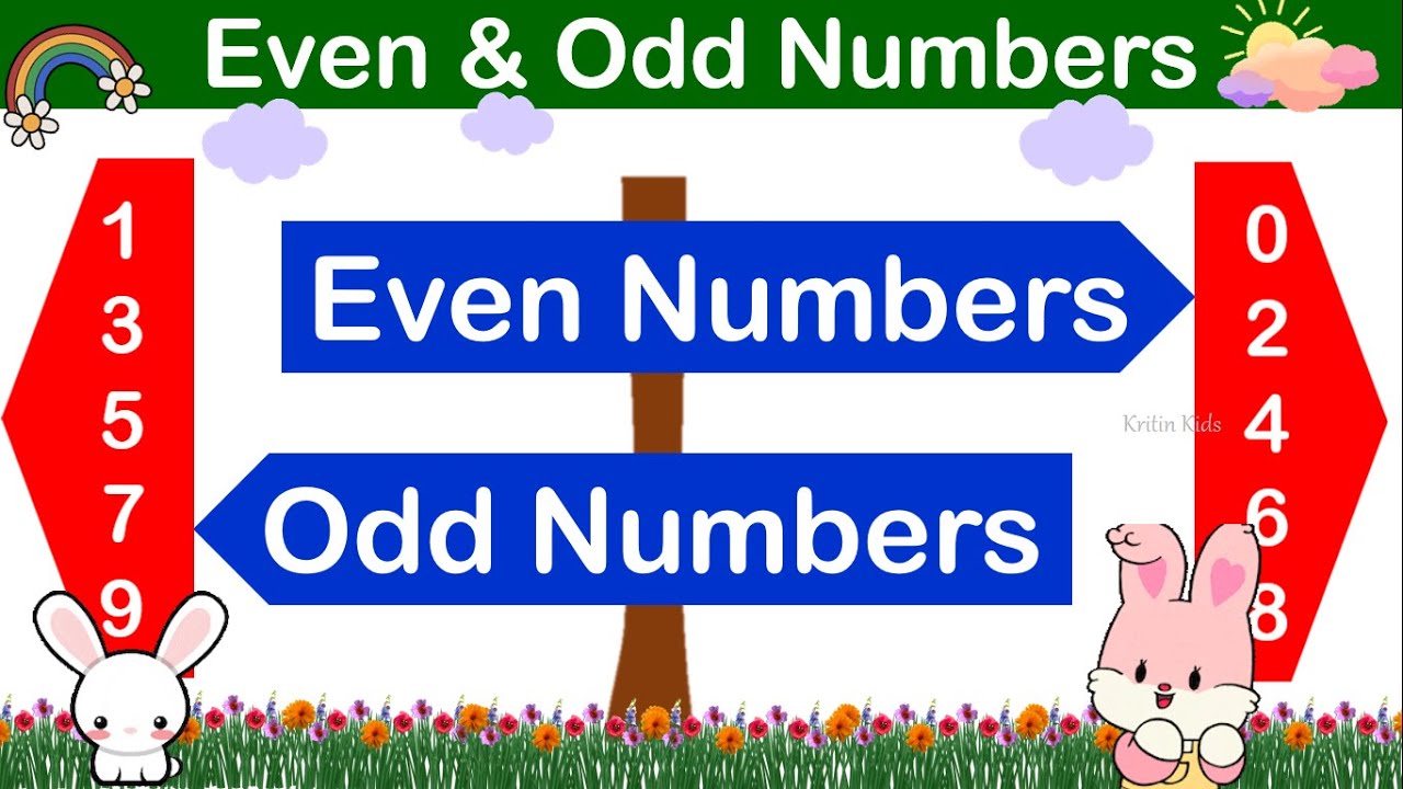 Even & Odd Numbers | Learning Even And Odd Numbers | Even , Odd Number ...