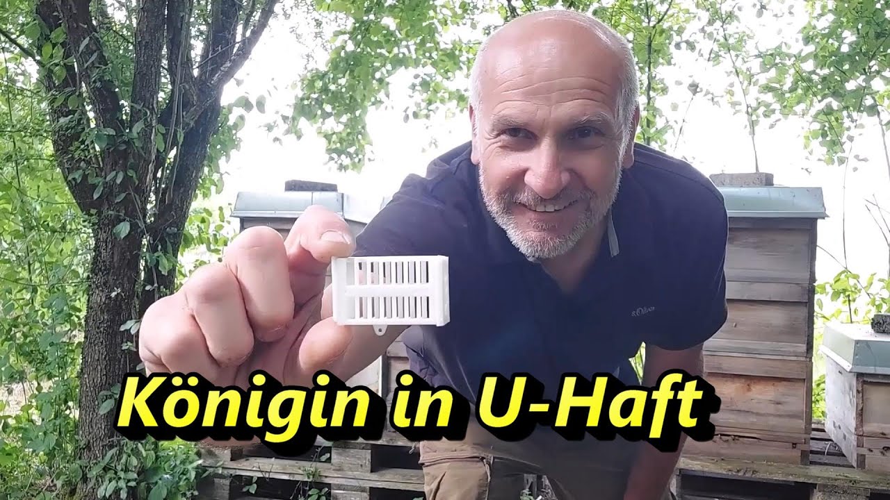 Königin in U-Haft - YouTube