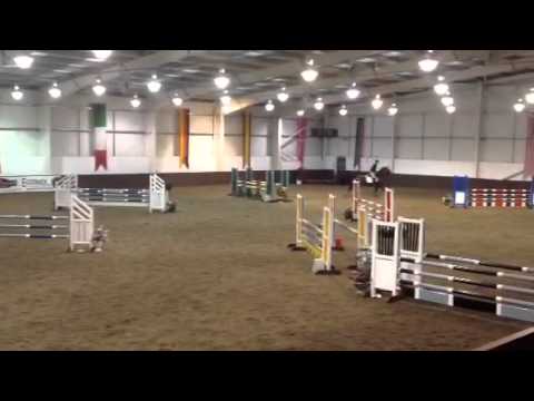 Miss Spontaneous M Jumping clear 1.05 @addingtonmanor - YouTube