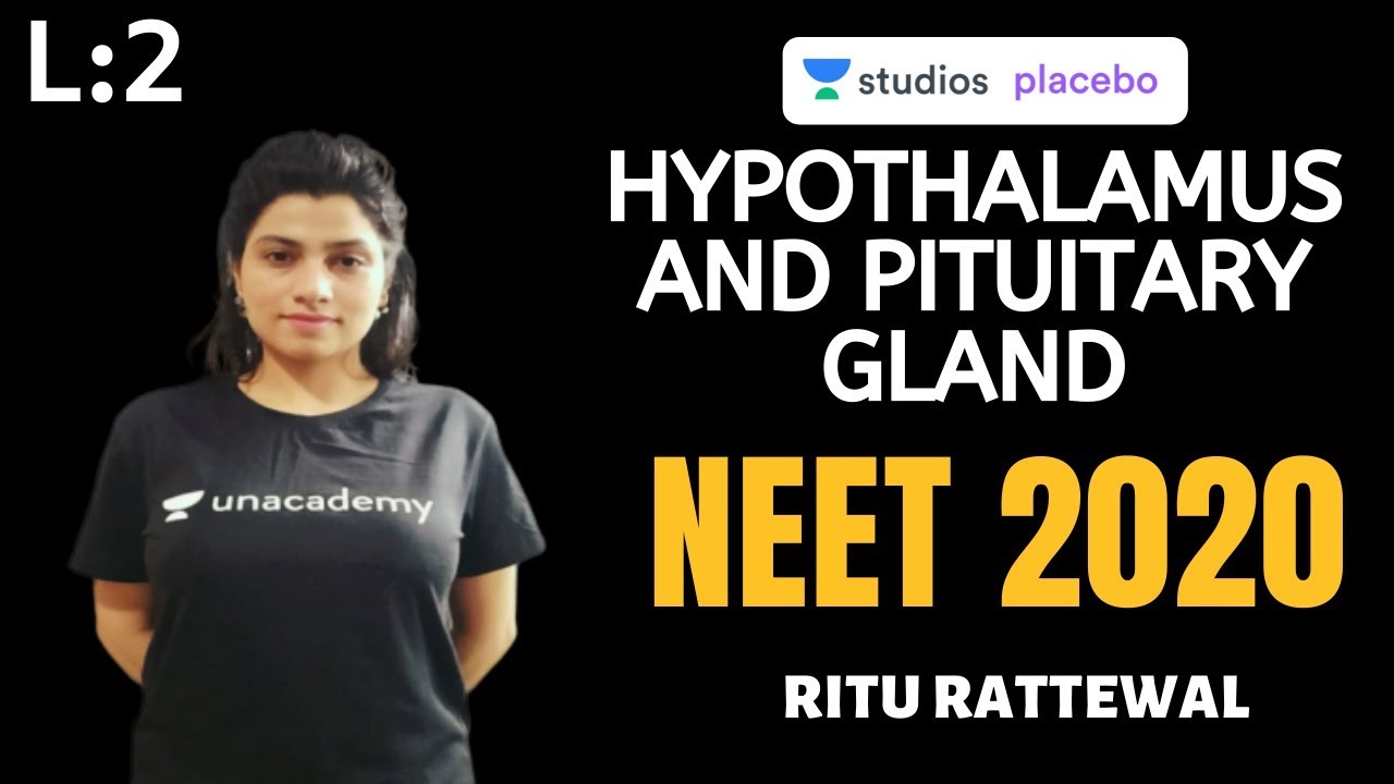 L2: Hypothalamus and Pituitary Gland | Endocrine System | Pre-medical ...