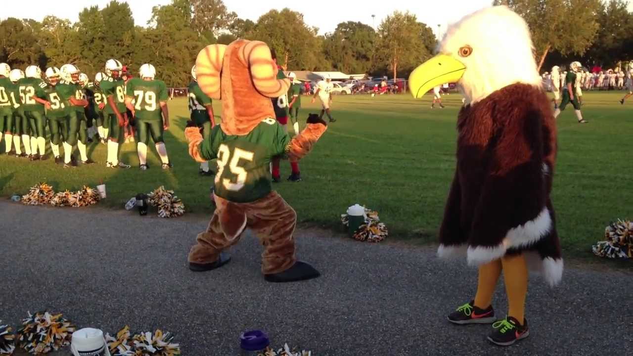 mascot dance off - YouTube