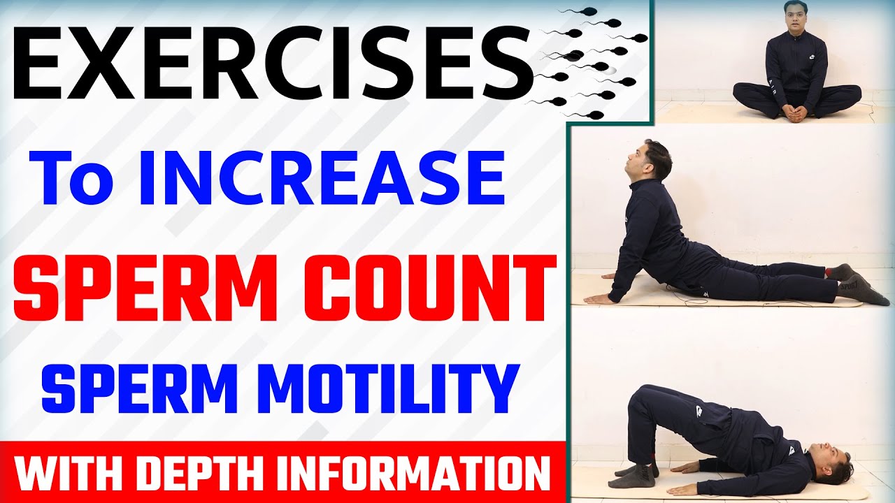 Exercises To Increase Sperm Count and Sperm motility | Exercises For ...