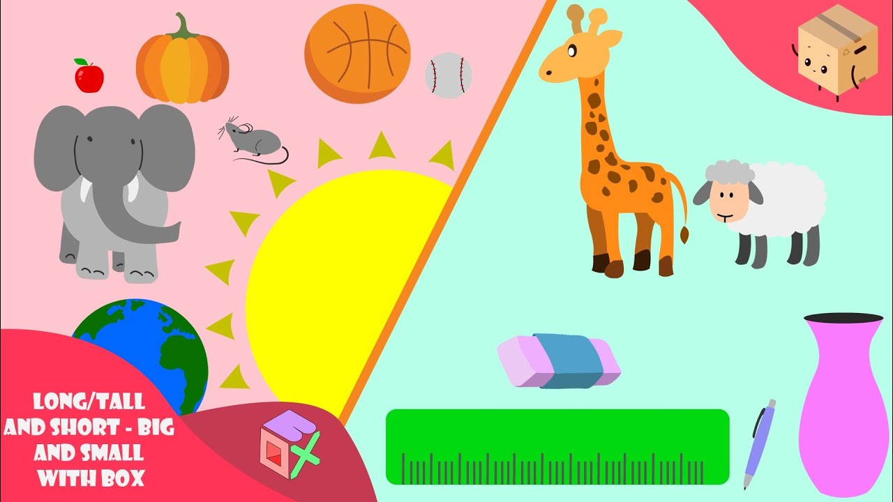 BIG AND SMALL | LONG/TALL AND SHORT | OPPOSITES WITH BOX | EDUCATIONAL ...