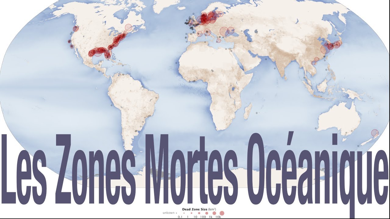 Les zones mortes océanique - YouTube