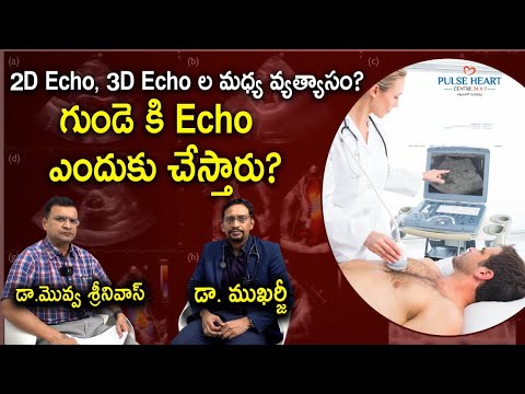 When Do You Need an Echocardiogram for Heart | Difference Between 2D Echo And 3D Echo Test
